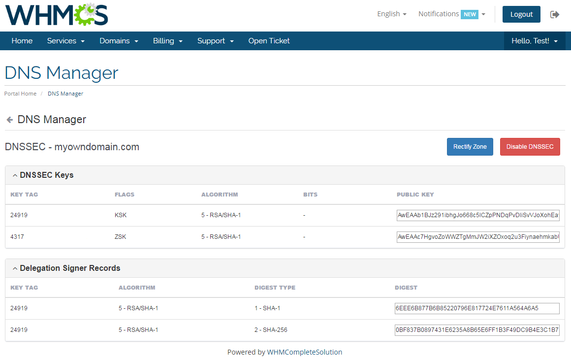 DNS Manager For WHMCS - ModulesGarden