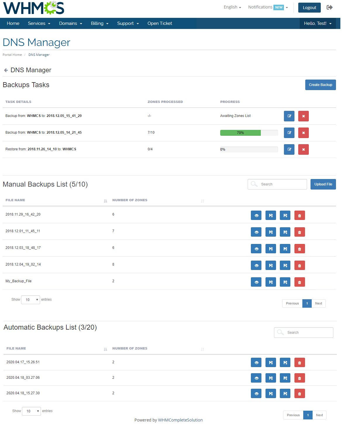 DNS Manager For WHMCS - ModulesGarden