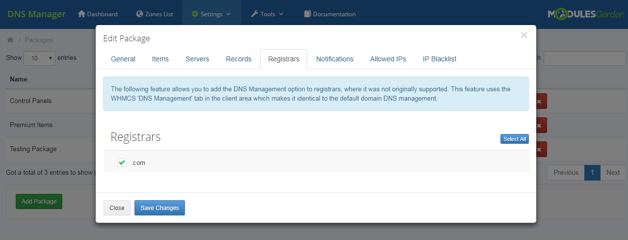 DNS Manager For WHMCS - ModulesGarden
